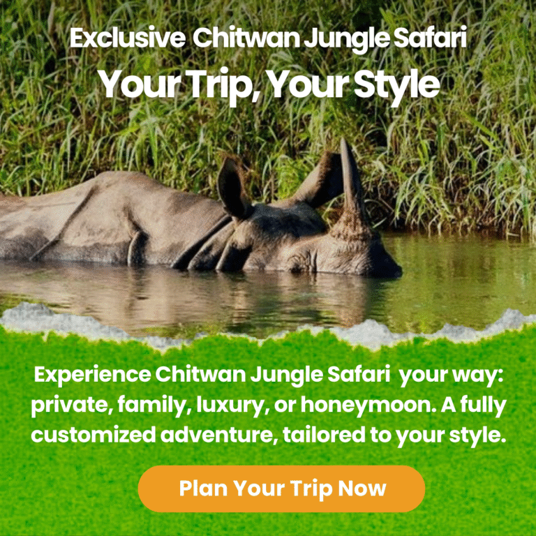 Chitwan Jungle Safari Day Tour - Chitwan Jungle Safari Tour
