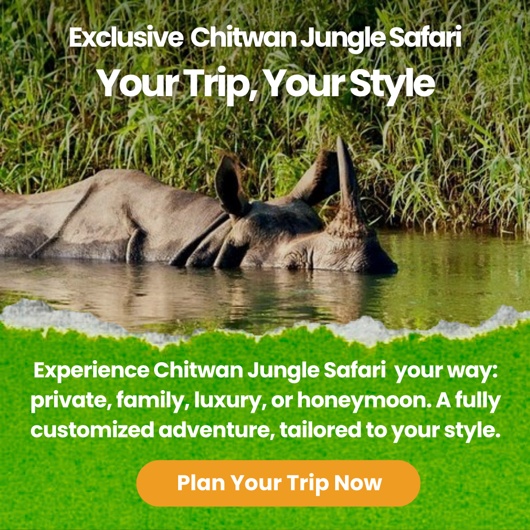 Chitwan Jungle Safari in June: Monsoon’s breathtaking beauty